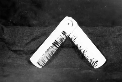 The Donner Party | History to Go